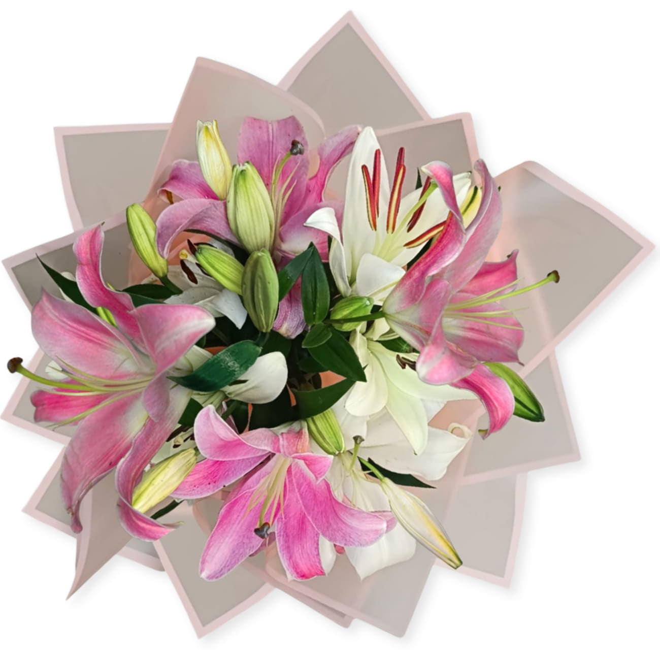 Viva - Flowers Online 24